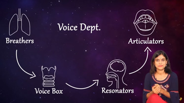 VoxGuru - Learn Carnatic Music & Voice Culture